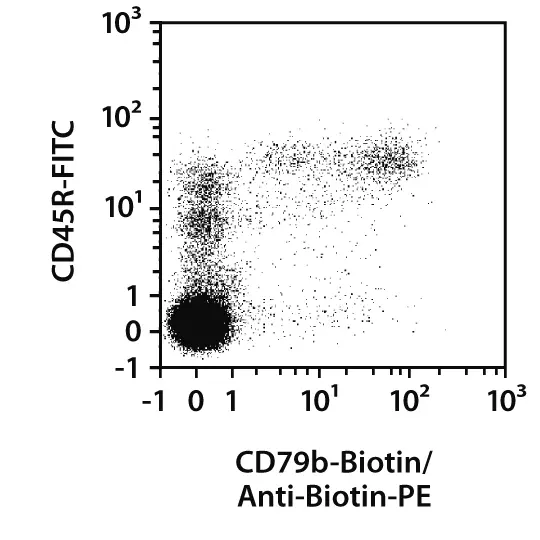 CD79b Antibody, anti-mouse | Miltenyi Biotec | USA
