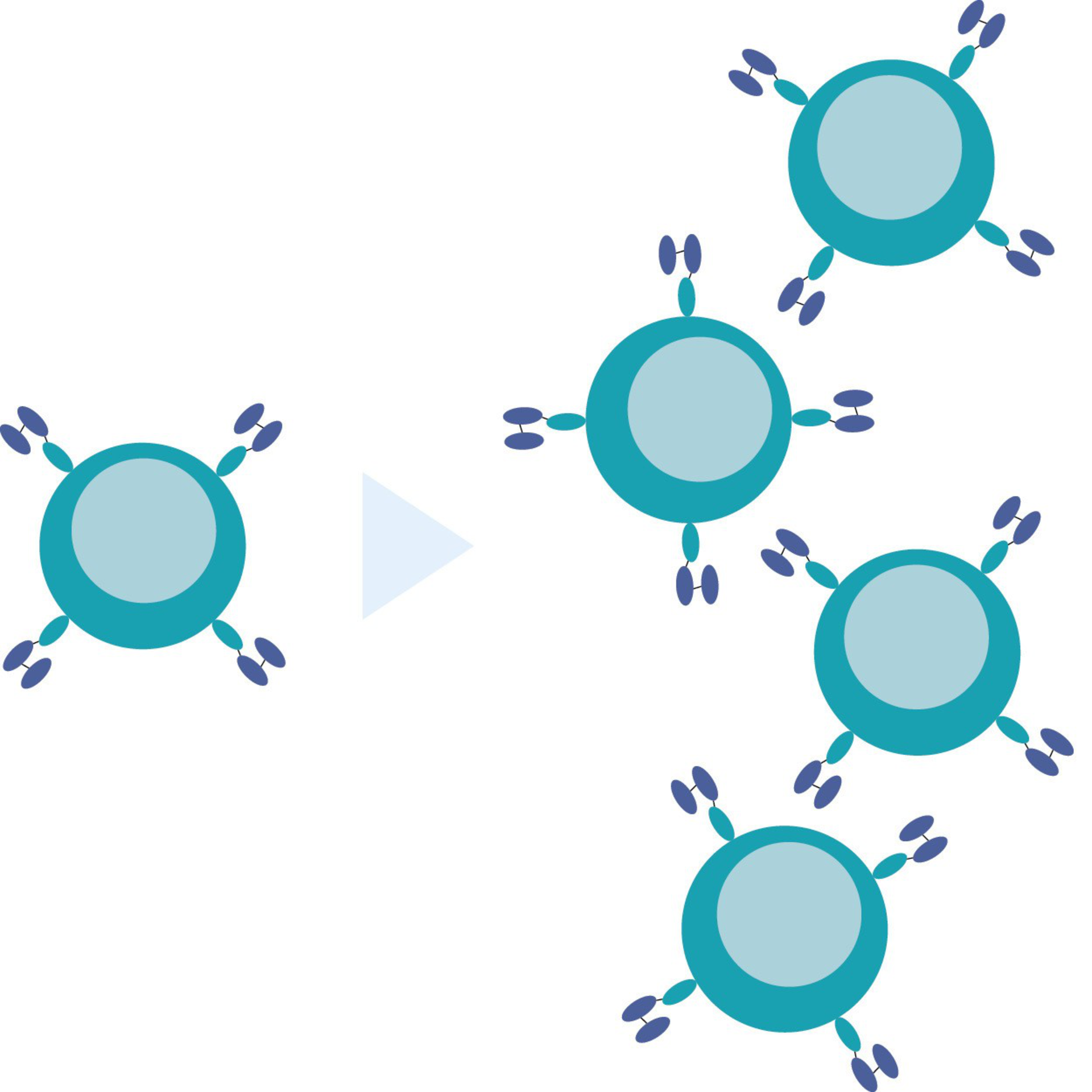 Tumor Reactive T Cells Manufacturing Til Therapy Miltenyi