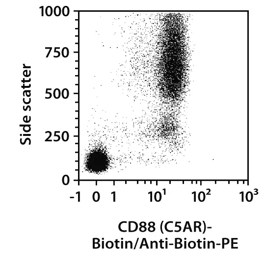 CD88 (C5AR) Antibody, anti-human | Miltenyi Biotec | India