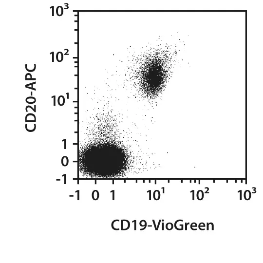 CD19 Antibody, anti-human, REAfinity™ | Miltenyi Biotec | USA