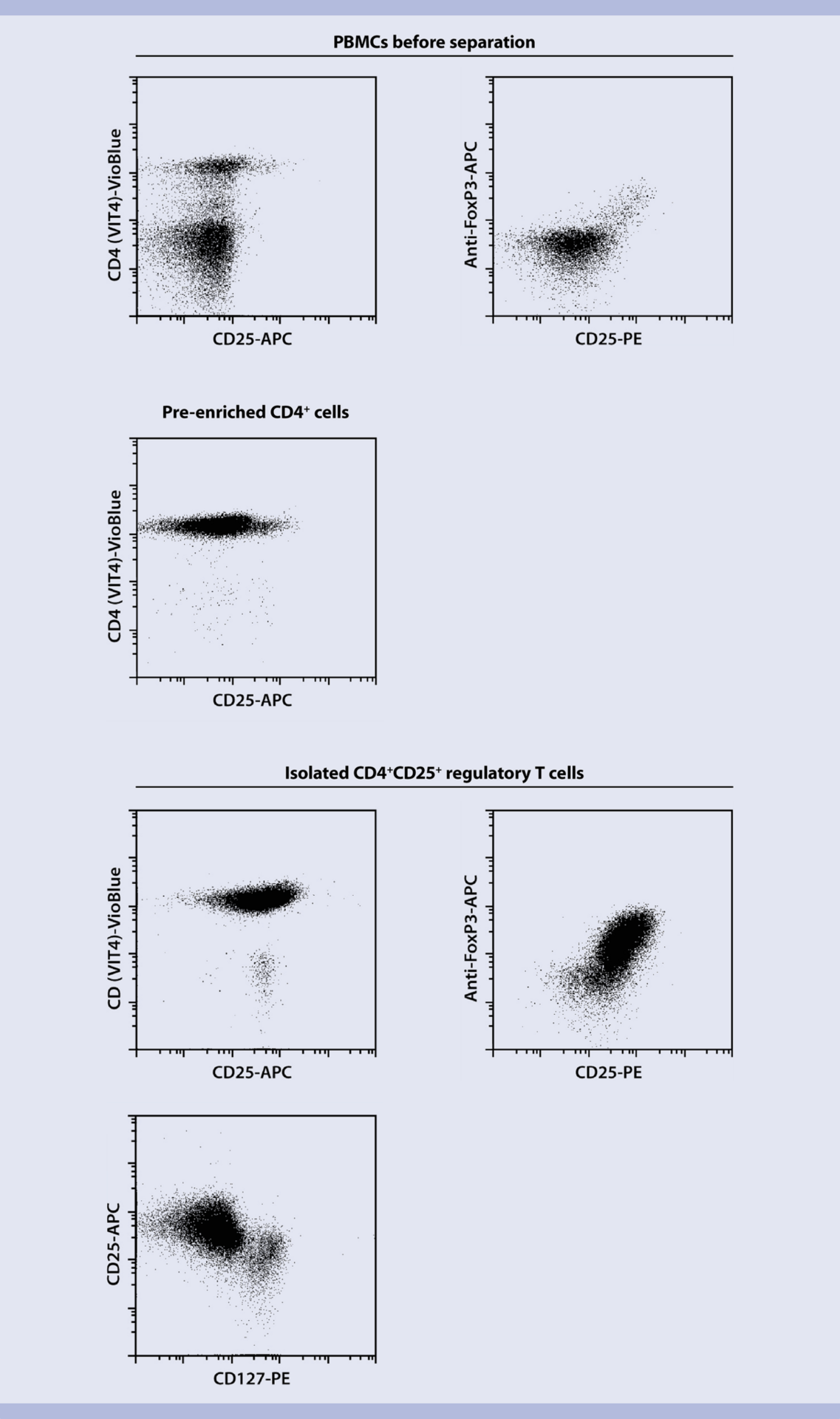 Regulatory T Cells Human Miltenyi Biotec Norge