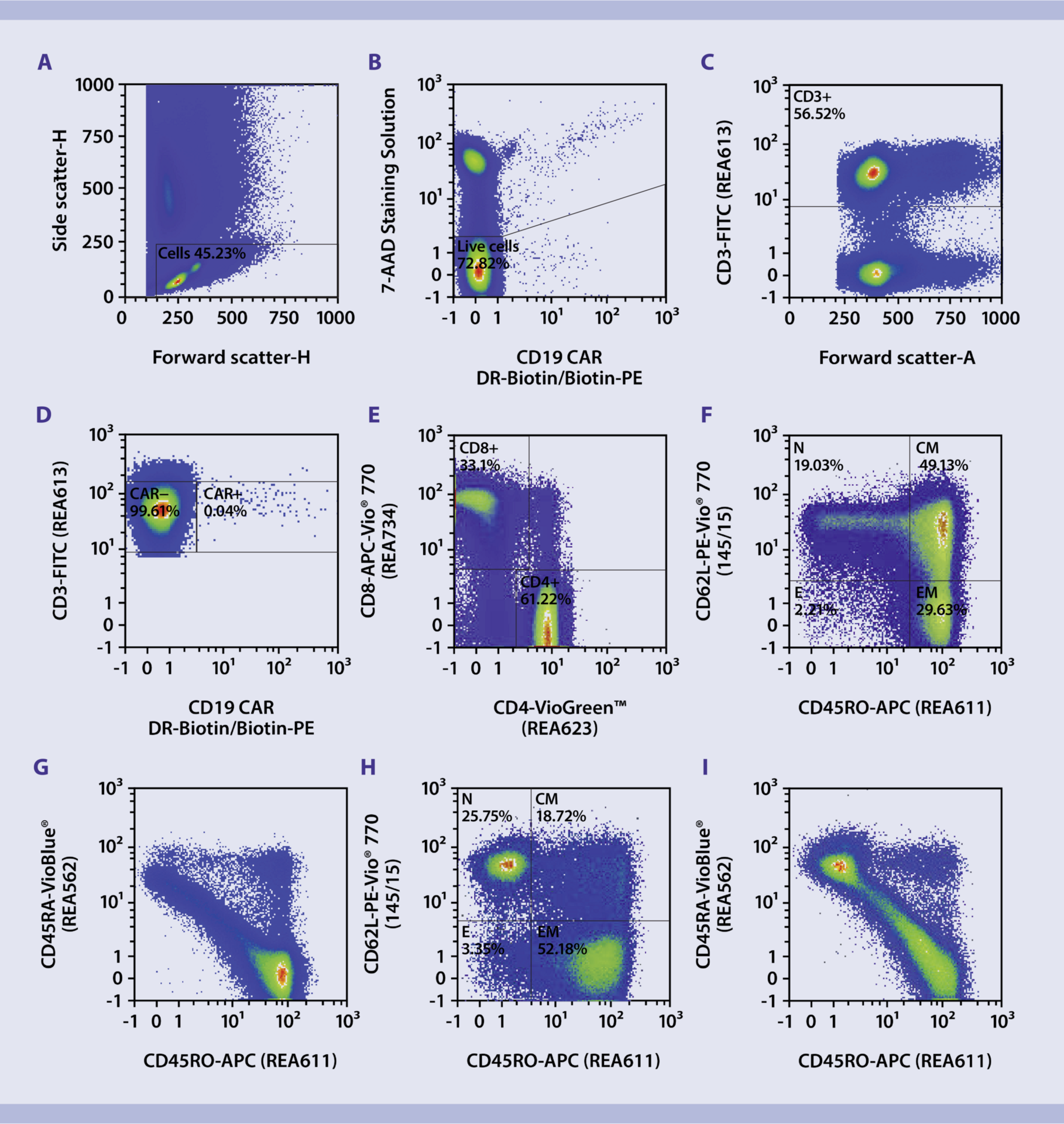Immunophenotyping | CAR T cell persistence and differentation ...