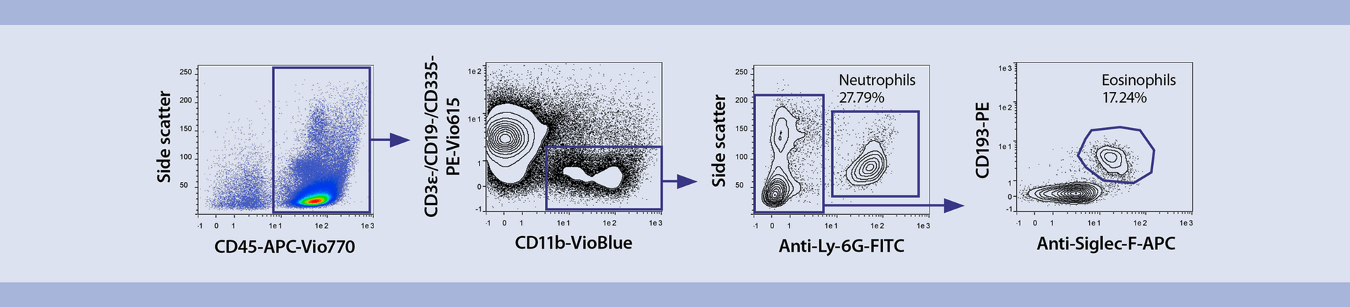 Granulocytes | Mouse spleen | Flow cytometry | Miltenyi Biotec | USA