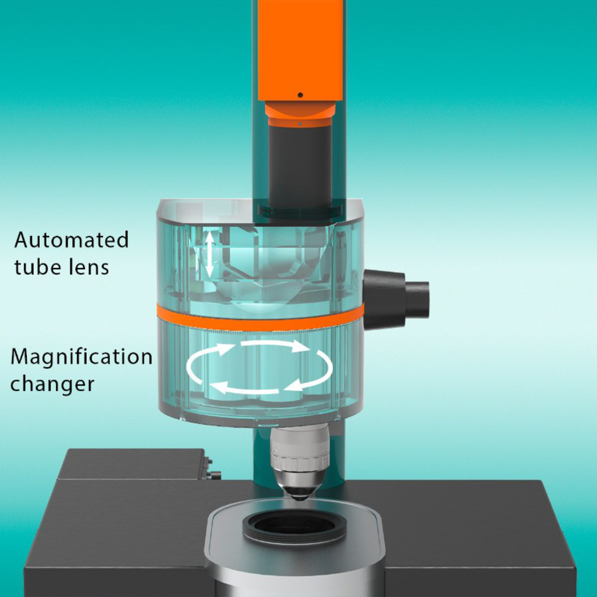 Microscope imaging | UltraMicroscope II | 3D microscope | Miltenyi ...