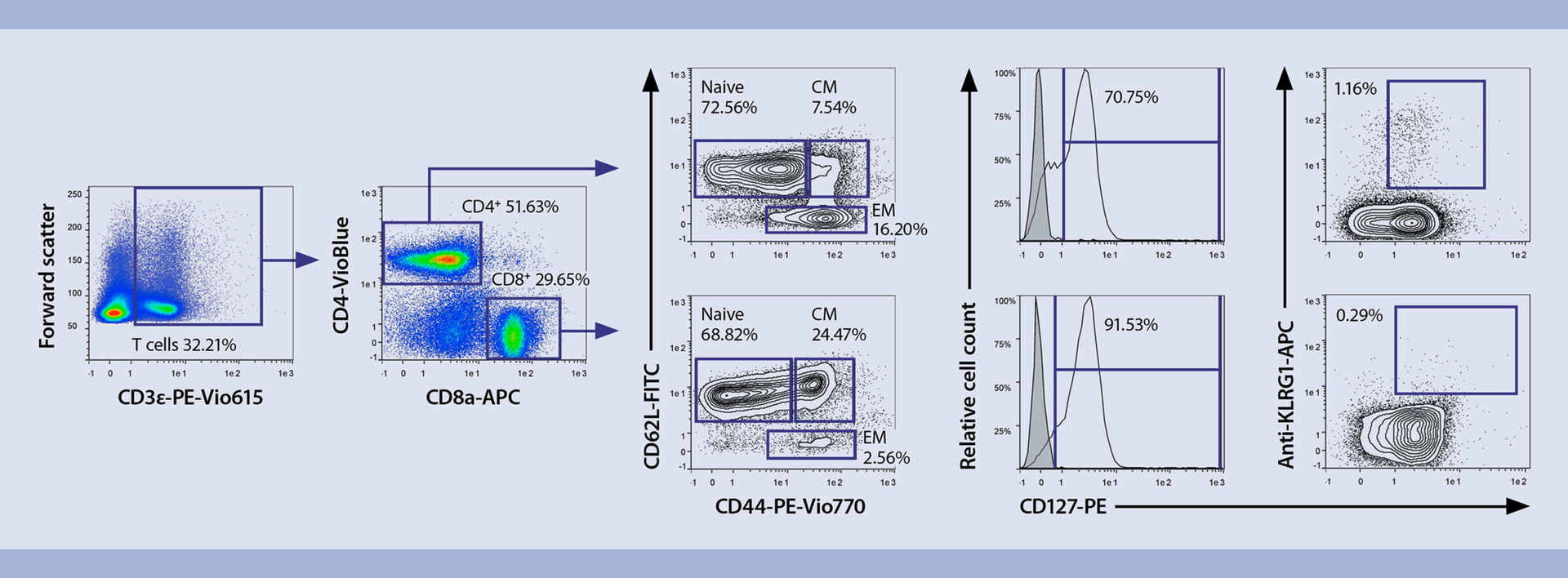 Analysis of T cells from mouse spleen by flow cytometry | Miltenyi ...