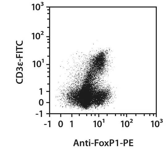 Transcription Factor Staining Buffer Set | Miltenyi Biotec | USA
