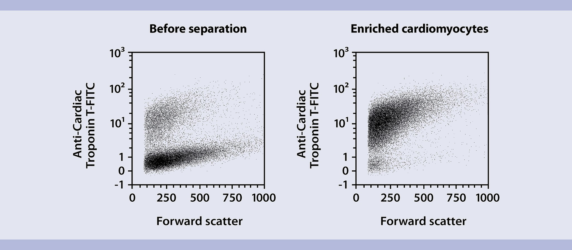 Differentiation of cardiomyocytes | Human PSCs | Protocol | Miltenyi ...