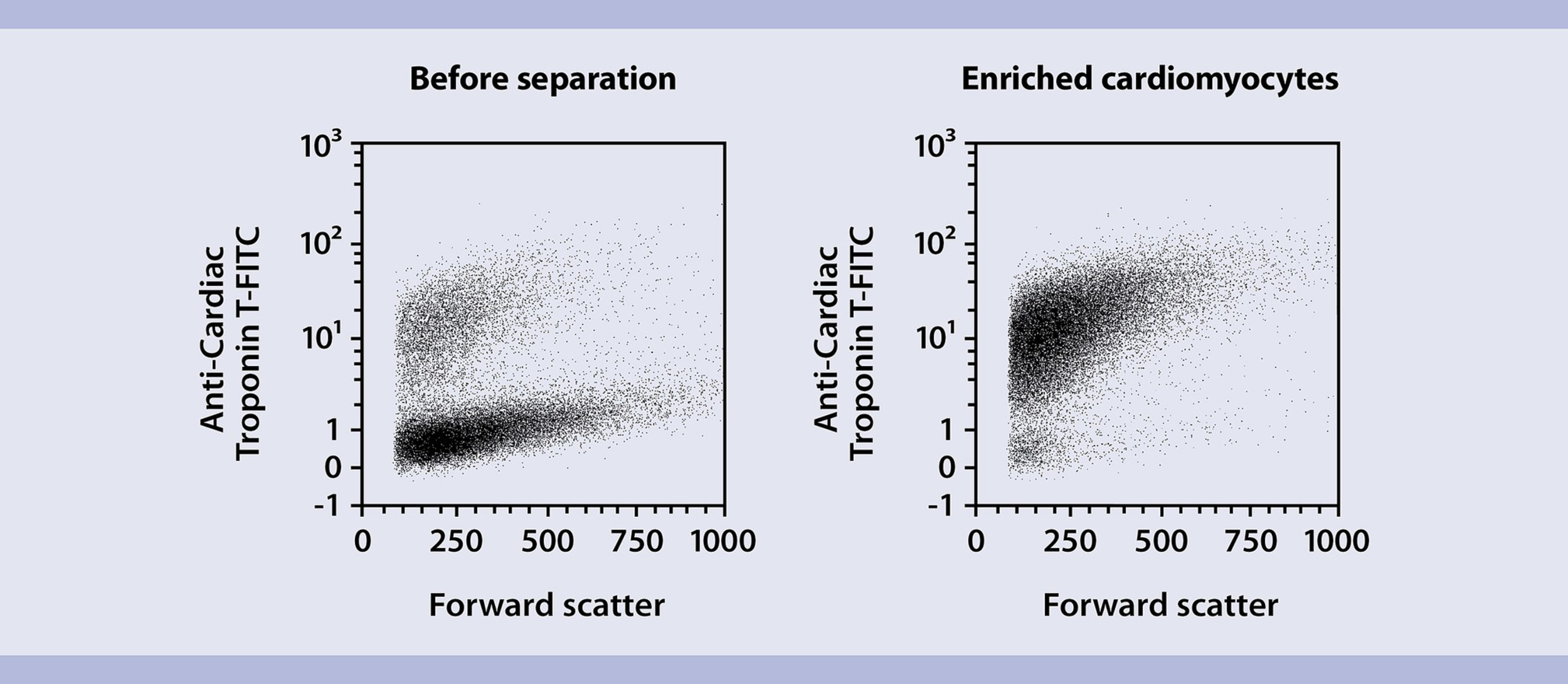 Differentiation of cardiomyocytes | Human PSCs | Protocol | Miltenyi ...
