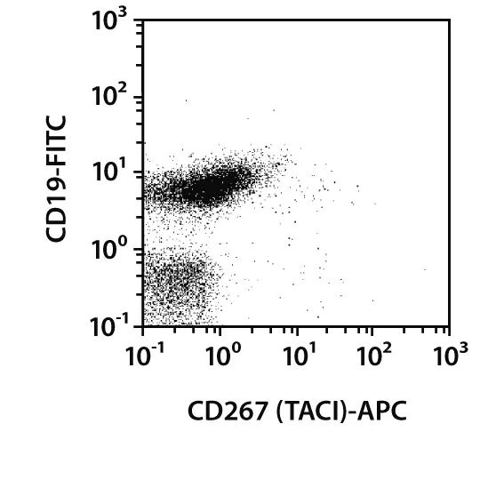 CD267 (TACI) Antibody, anti-mouse | Miltenyi Biotec | USA