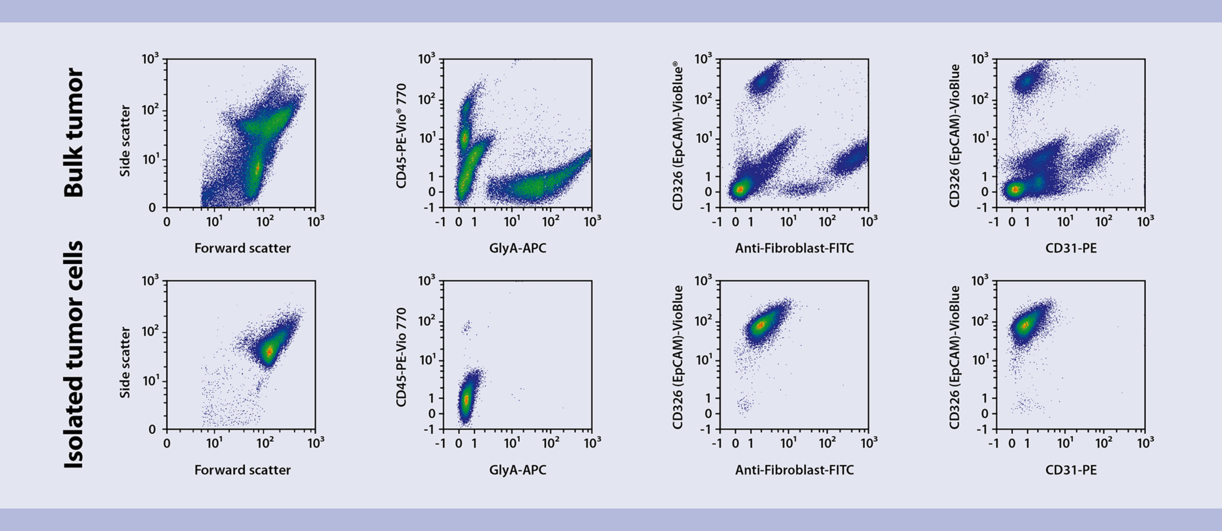 Isolation of tumor cells from human tumor tissue | Protocol | Miltenyi ...