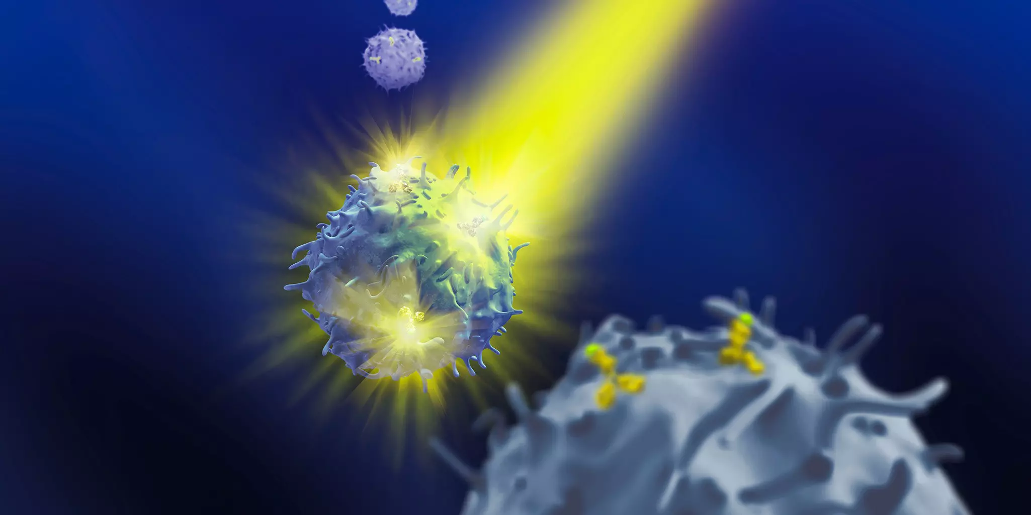 Vio® Bright B515 and Vio® B515 | Fluorophores for blue lasers ...