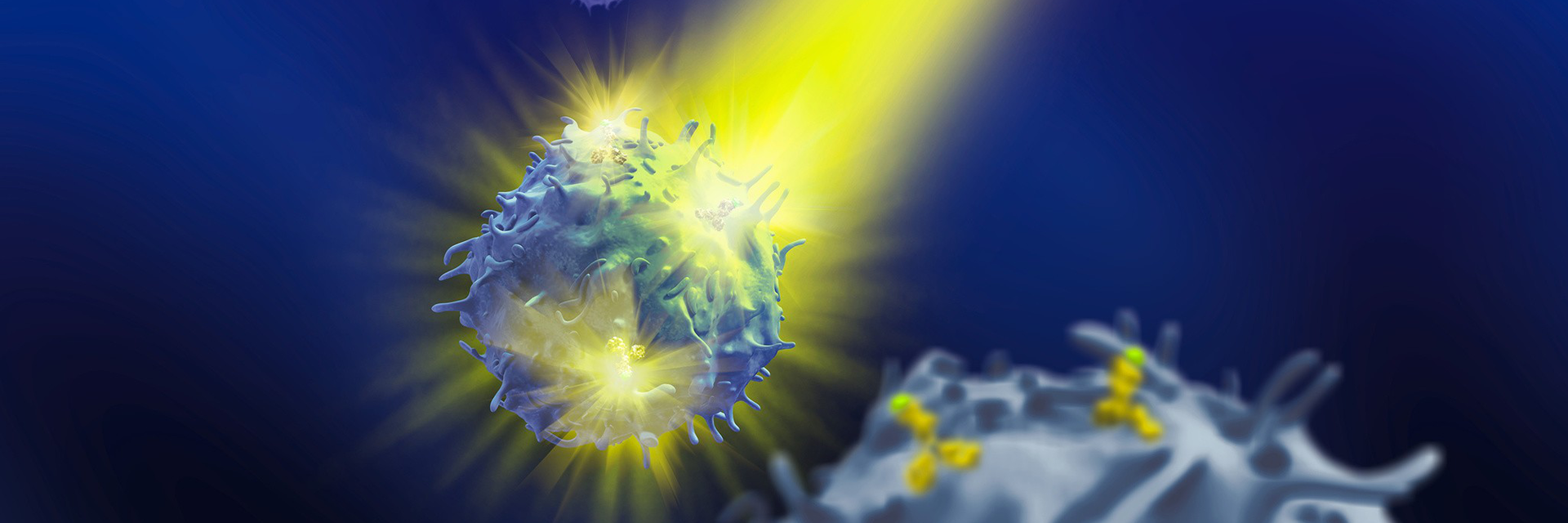 Fluorescence Spectra Viewer | Flow Cytometry Experiments | Miltenyi ...