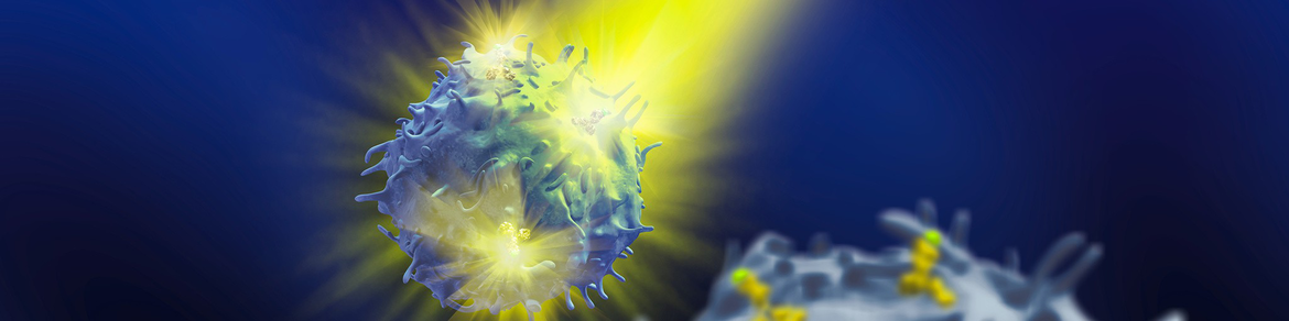 Fluorescence Spectra Viewer | Flow Cytometry Experiments | Miltenyi ...