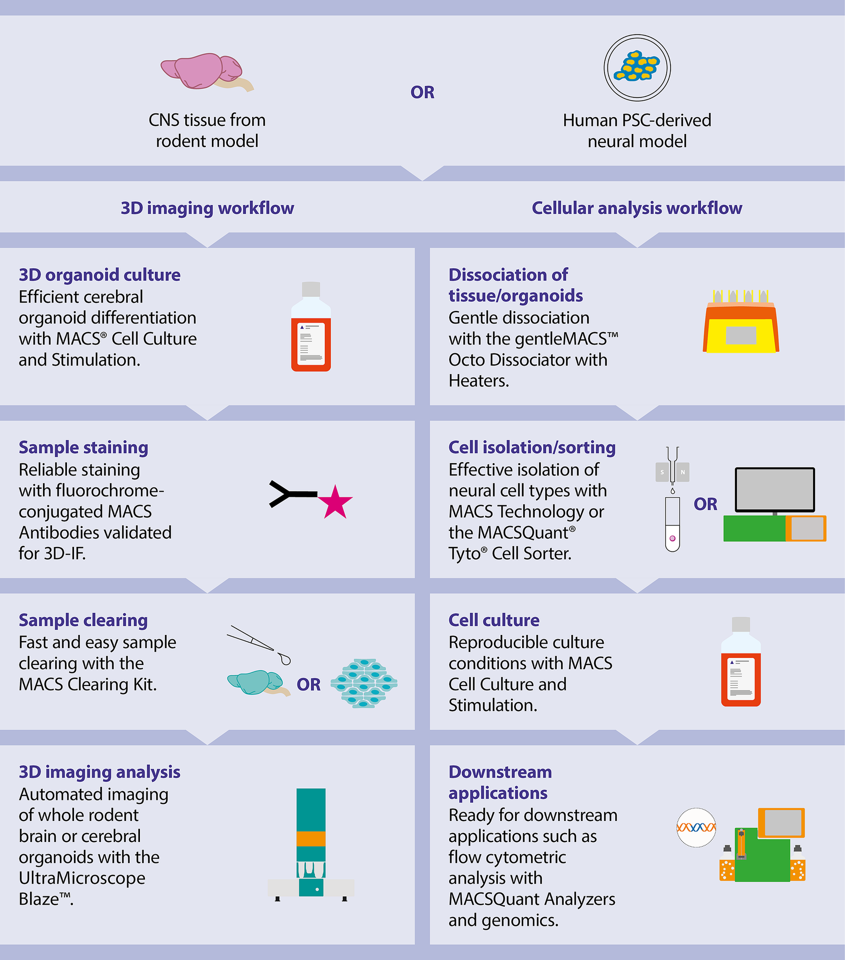 Neuroscience research solutions | Miltenyi Biotec | 대한민국