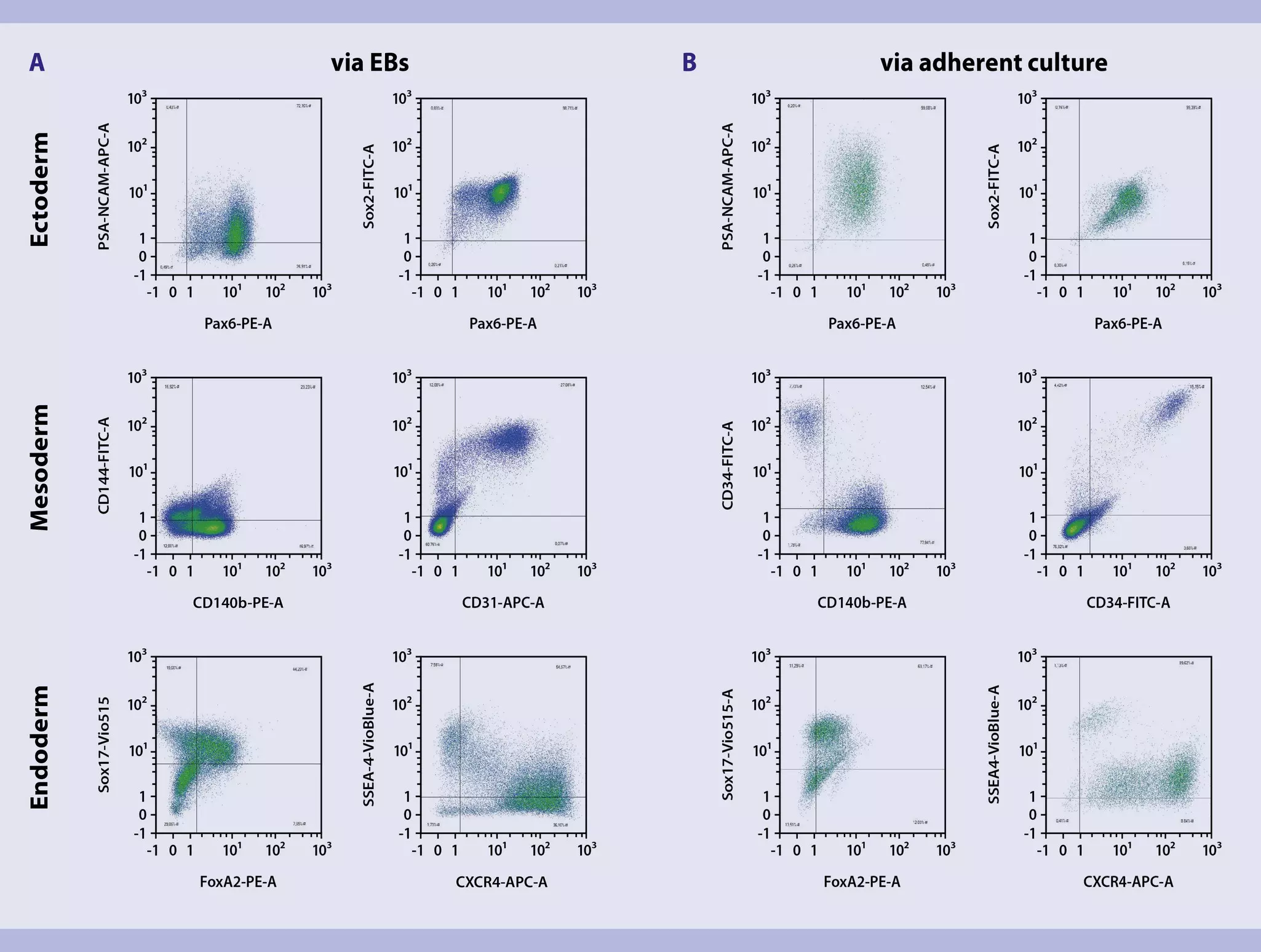 Pluripotent Stem Cell Differentiation | Workflow | Miltenyi Biotec | भारत