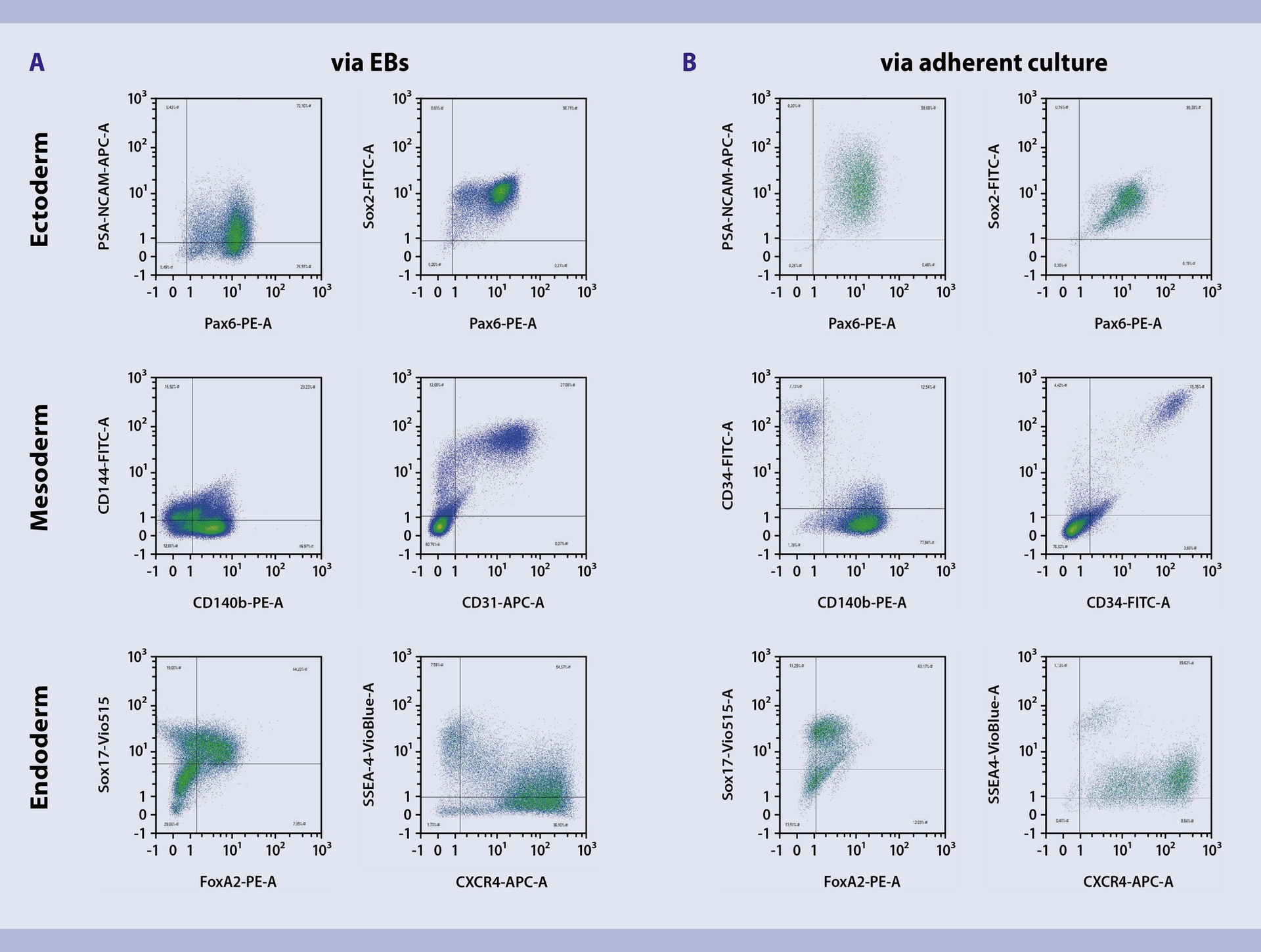 Master Pluripotent Stem Cell Differentiation | Miltenyi Biotec | भारत