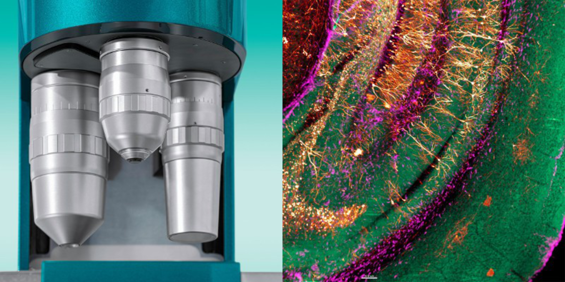 UltraMicroscope Blaze™ | Miltenyi Biotec | Norge