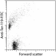 Anti-Ter-119 MicroBeads, mouse | Miltenyi Biotec | USA