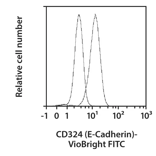 CD324 (E-Cadherin) Antibody, anti-human, REAfinity™ | Miltenyi Biotec | USA