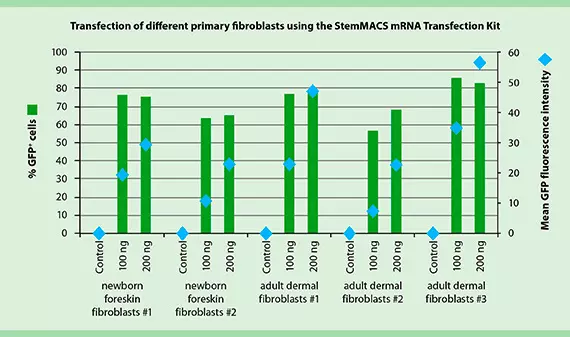 StemMACS™ mRNA Transfection Kit | Miltenyi Biotec | USA