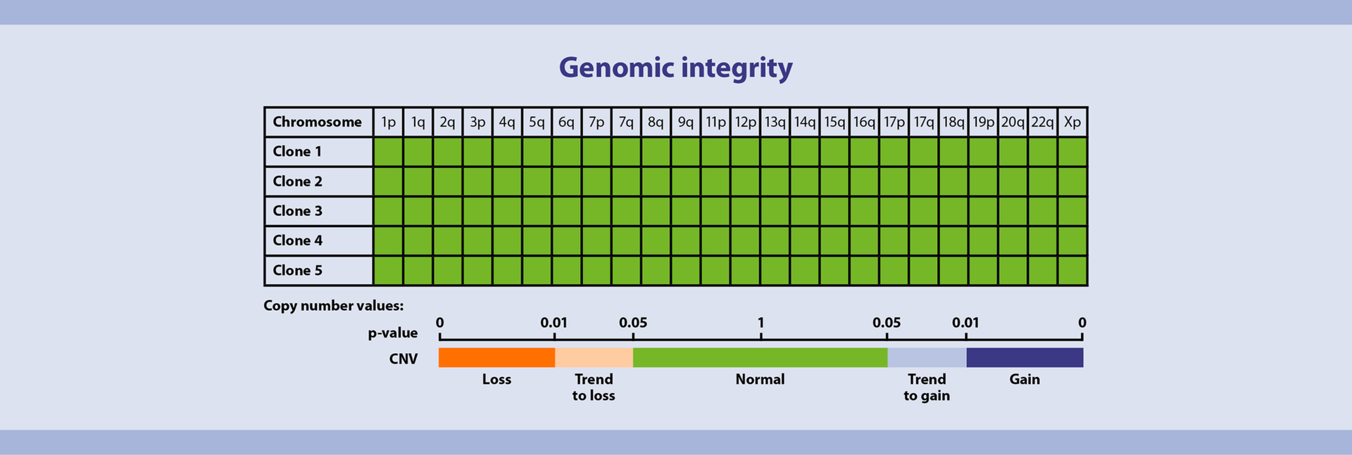 Human IPS cells | Human embryonic stem cells | Miltenyi Biotec | Italia
