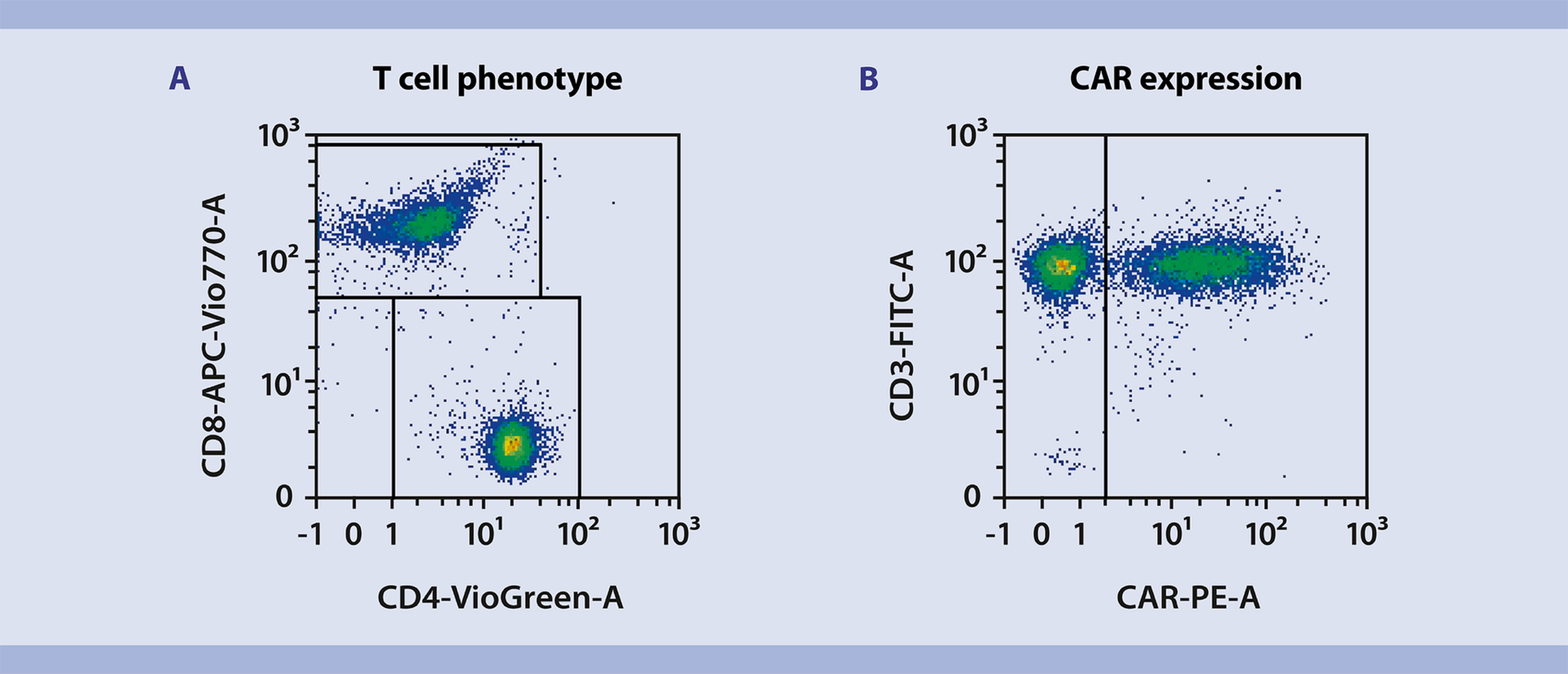 Engineering of CAR T cells | Protocol | Miltenyi Biotec | भारत