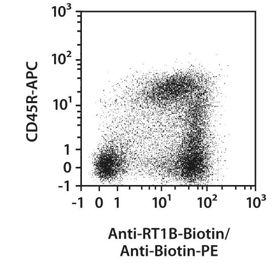 RT1B Antibody, anti-mouse/rat, REAfinity™ | Miltenyi Biotec | USA
