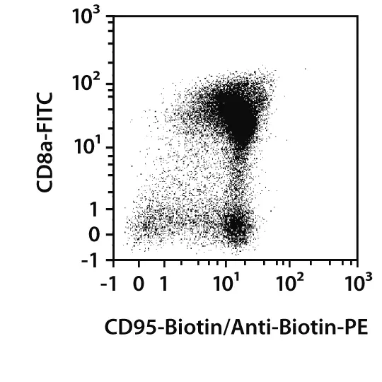CD95 (FAS) Antibody, anti-mouse, REAfinity™ | Miltenyi Biotec | USA