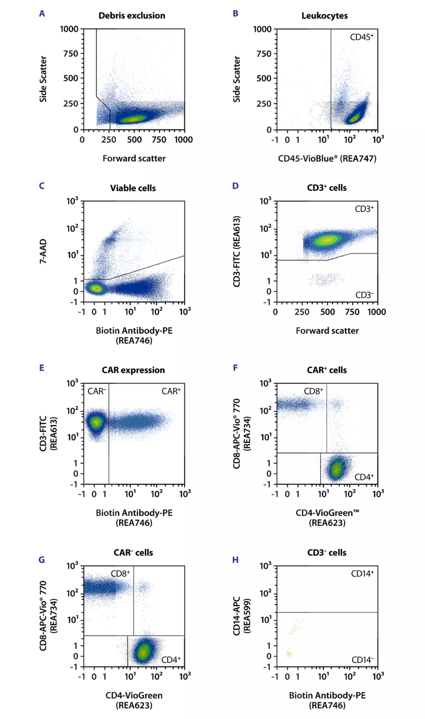 CAR T manufacturing | TCR T cell therapy | Workflows | Miltenyi Biotec ...