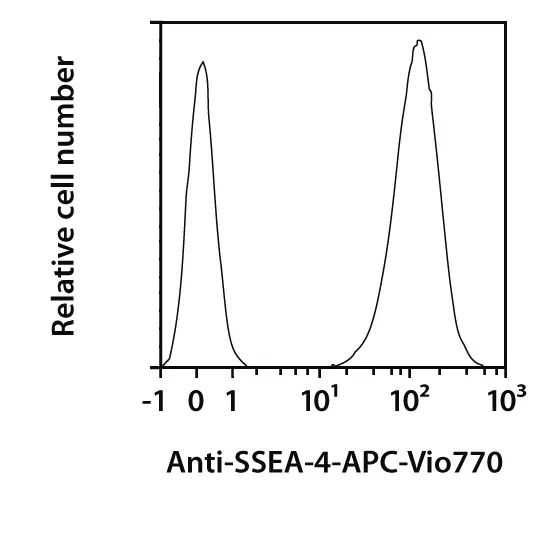 SSEA-4 Antibody, anti-human, REAfinity™ | Miltenyi Biotec | USA