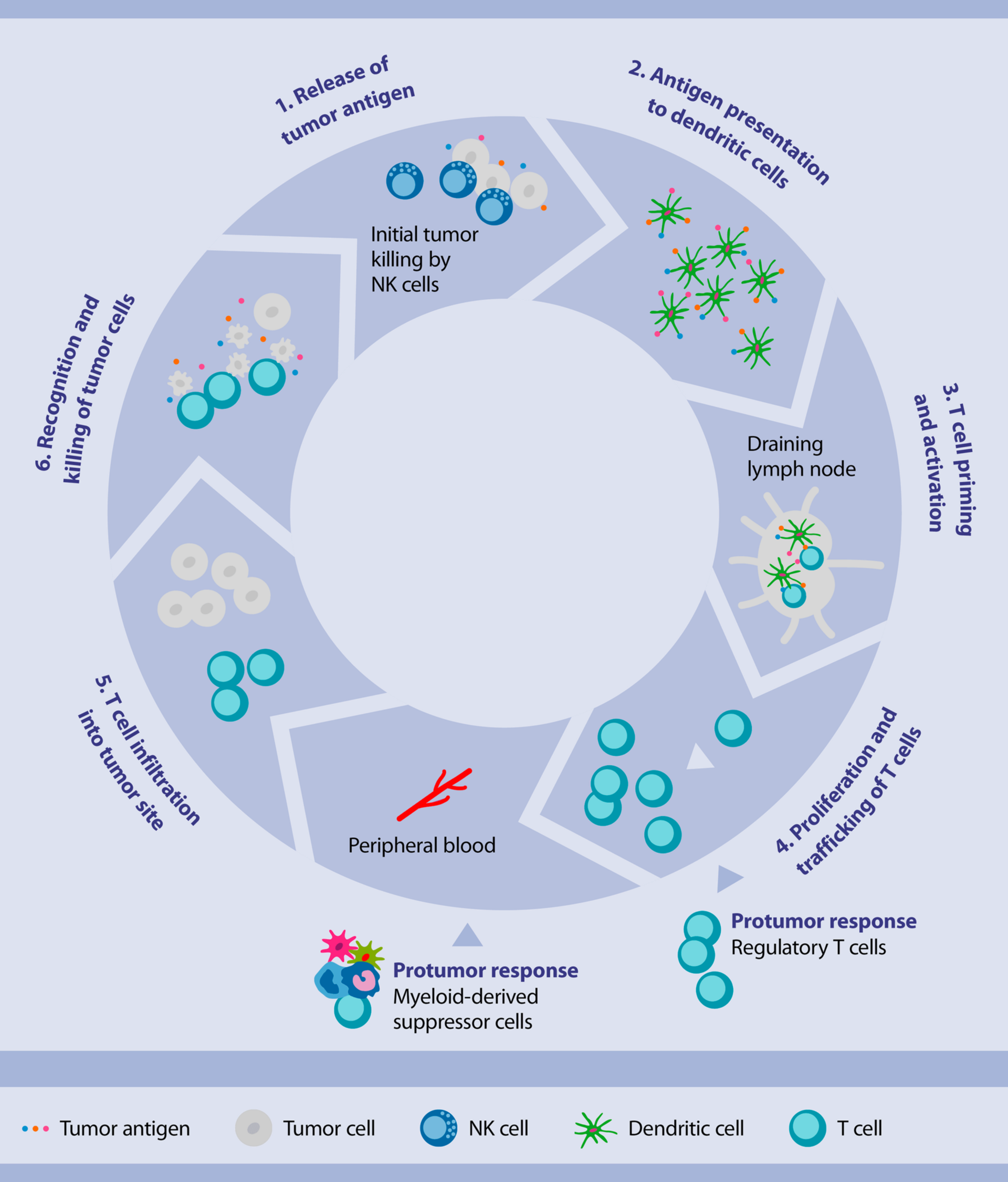 Flow Cytometry Immunophenotyping | Cancer | Miltenyi Biotec | France