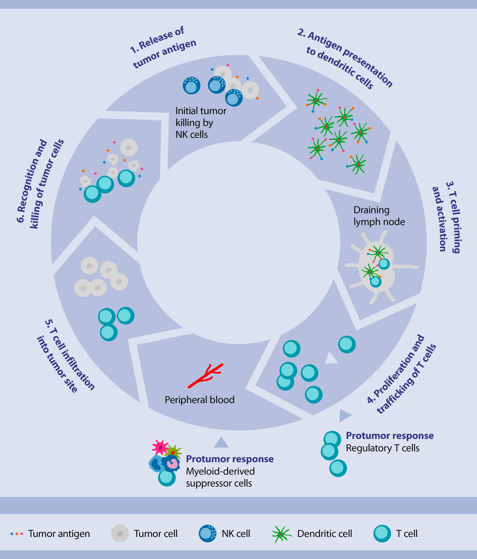 Flow Cytometry Immunophenotyping | Cancer | Miltenyi Biotec | Norge