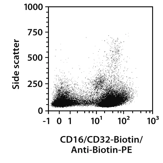CD16/CD32 Antibody, anti-mouse, REAfinity™ | Miltenyi Biotec | USA