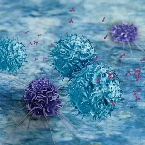 Classical Monocyte Isolation Kit, human | Miltenyi Biotec | USA