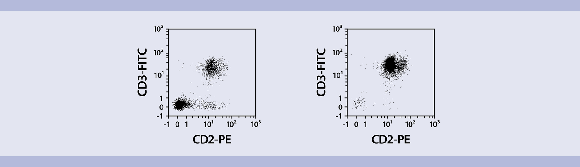 Human pan T cells | Activation and expansion | Protocol | Miltenyi ...