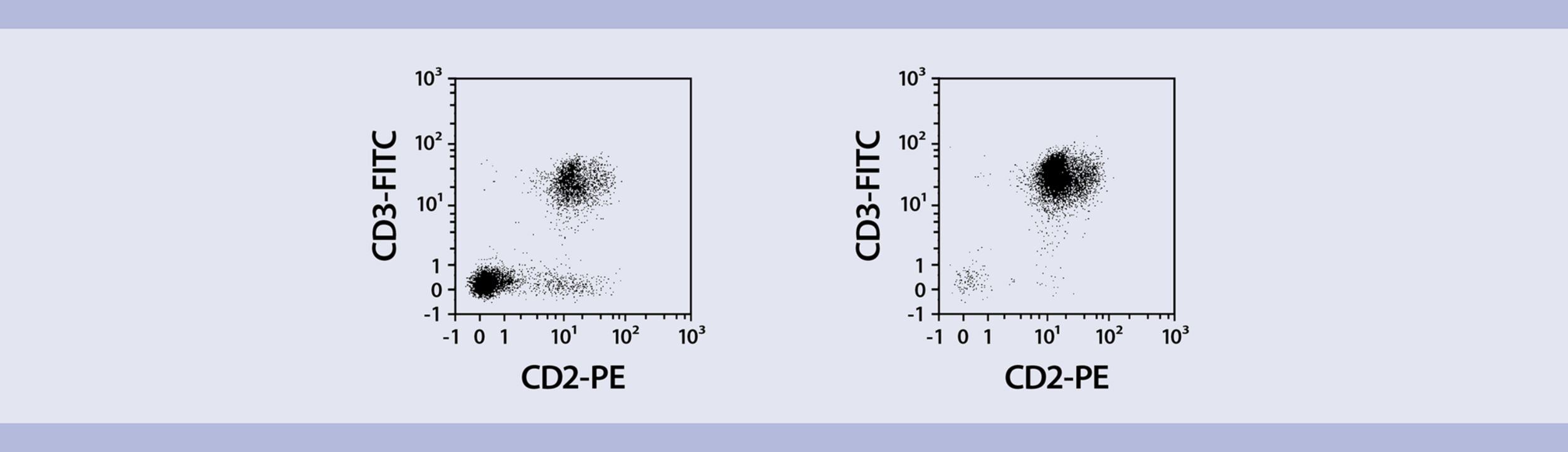 Human pan T cells | Activation and expansion | Protocol | Miltenyi ...