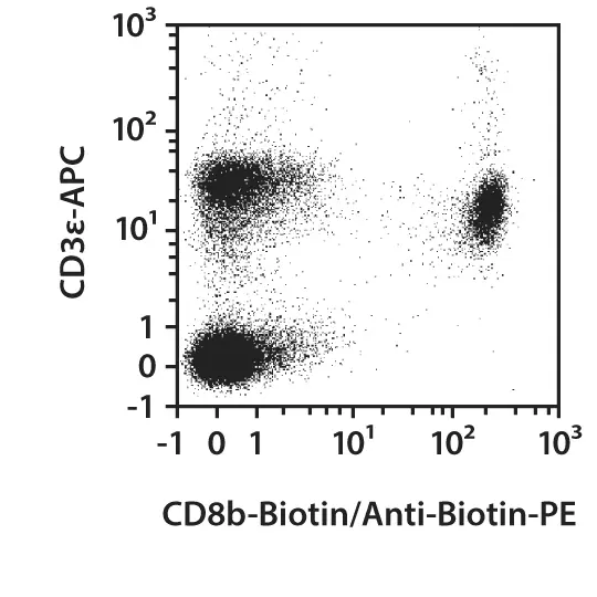 CD8b Antibody, anti-mouse, REAfinity™ | Miltenyi Biotec | USA