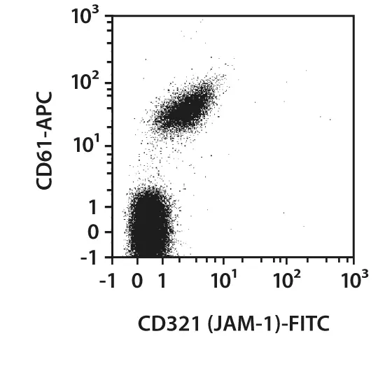 CD321 (JAM1) Antibody, anti-human, REAfinity™ | Miltenyi Biotec | USA