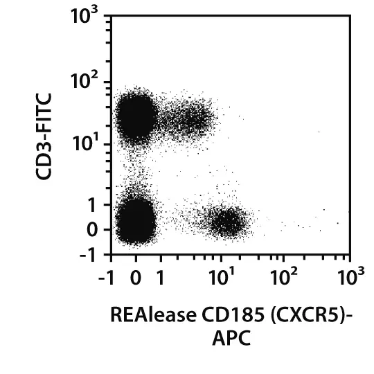 CD185 (CXCR5) Antibody, anti-human, REAlease® | Miltenyi Biotec | USA