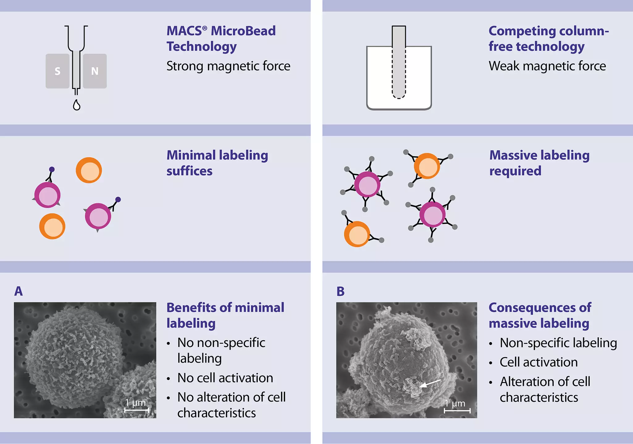 MACS® MicroBeads for magnetic cell isolation | Miltenyi Biotec | USA
