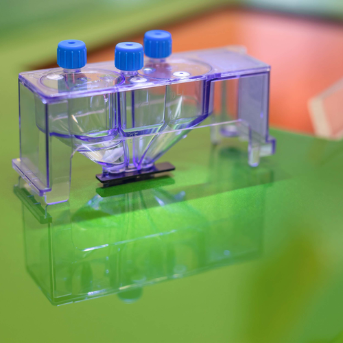 Cell sorting applications | MACSQuant® Tyto® | Miltenyi Biotec | 中国