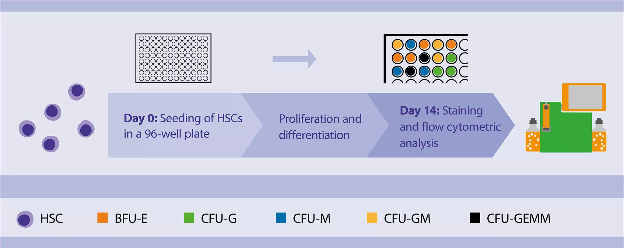 StemMACS™ HSC-CFU Assay Kit, human | Miltenyi Biotec | 中国