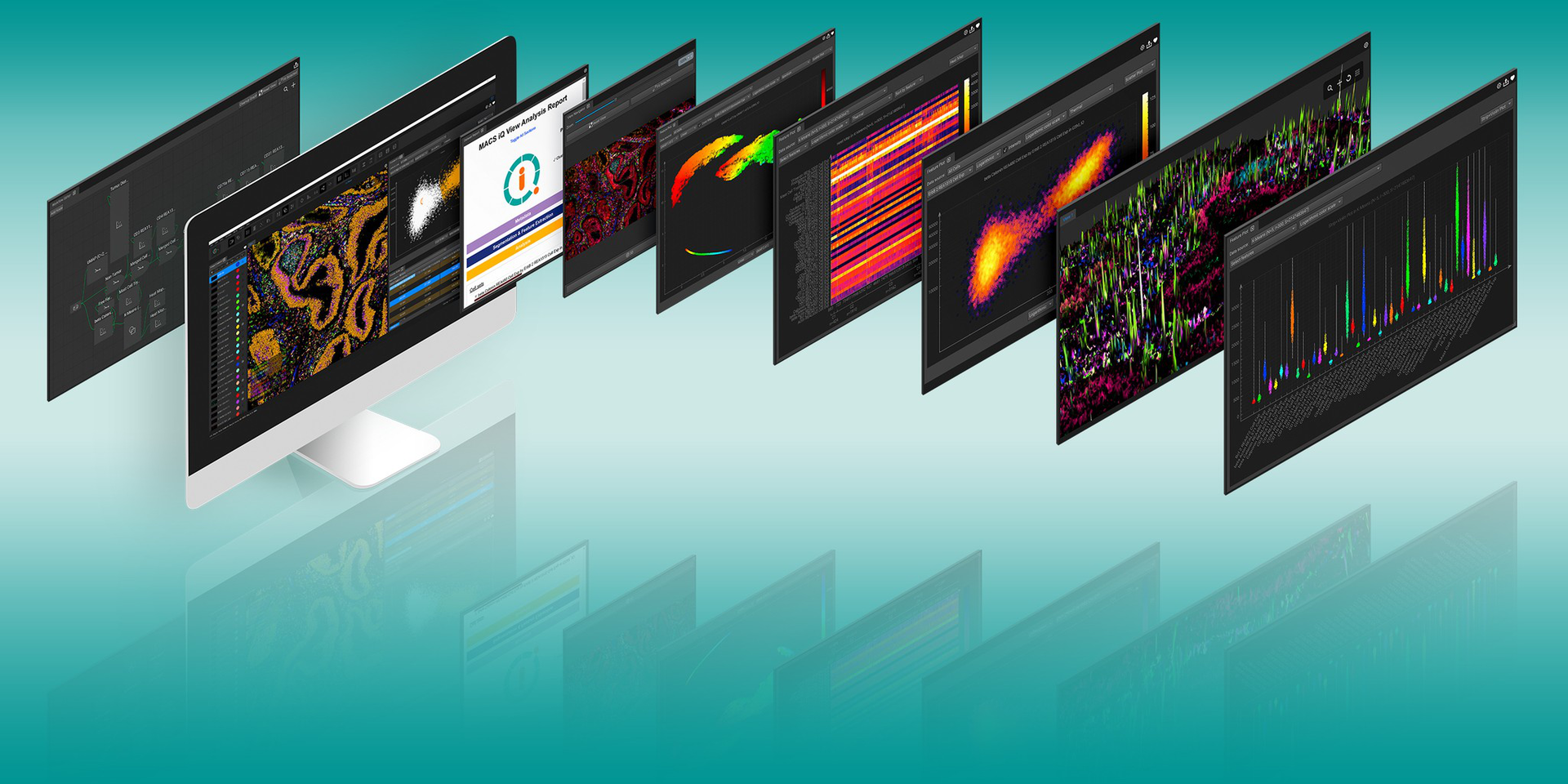 MACS® iQ View - Spatial Biology Software | Miltenyi Biotec | Singapore