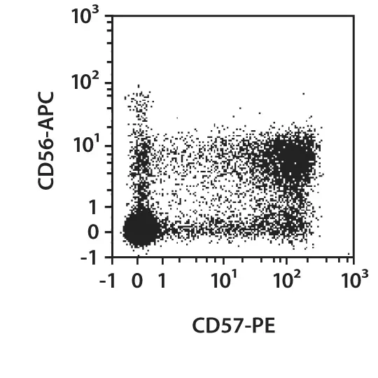 CD57 Antibody, anti-human | Miltenyi Biotec | USA