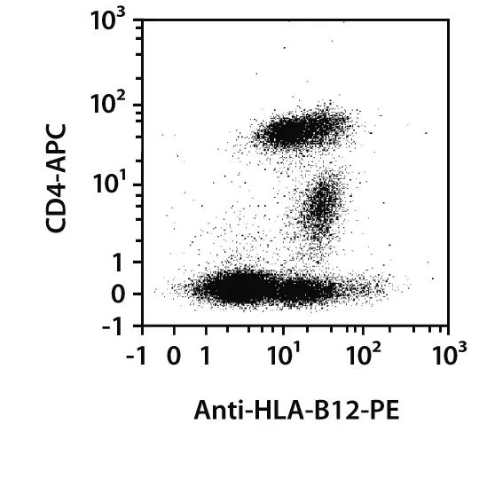 HLA-B12 Antibody, anti-human, REAfinity™ | Miltenyi Biotec | USA