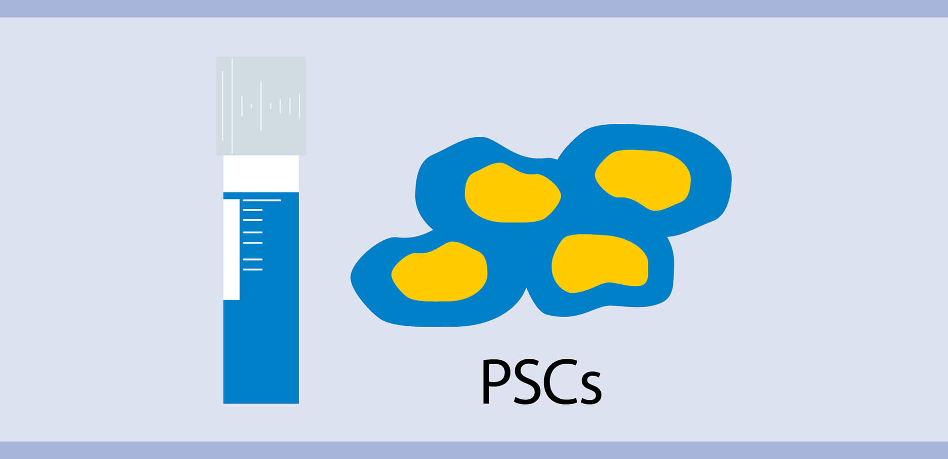 Dopaminergic progenitor cells | PSC differentiation | Miltenyi ...