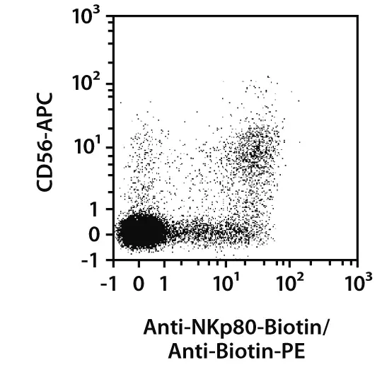 NKp80 Antibody, anti-human, REAfinity™ | Miltenyi Biotec | India