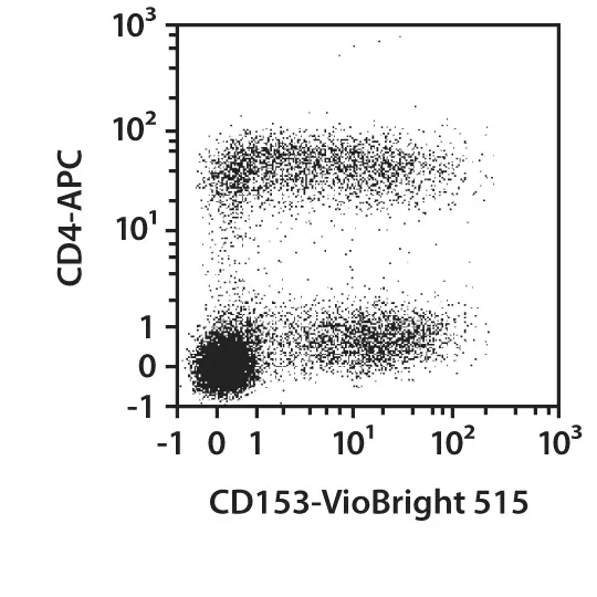 CD153 Antibody, anti-mouse, REAfinity™ | Miltenyi Biotec | India
