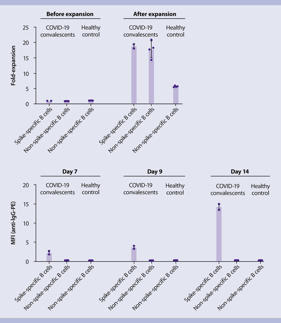 Microchip-based cell sorting and expansion of SARS-CoV-2–specific B ...