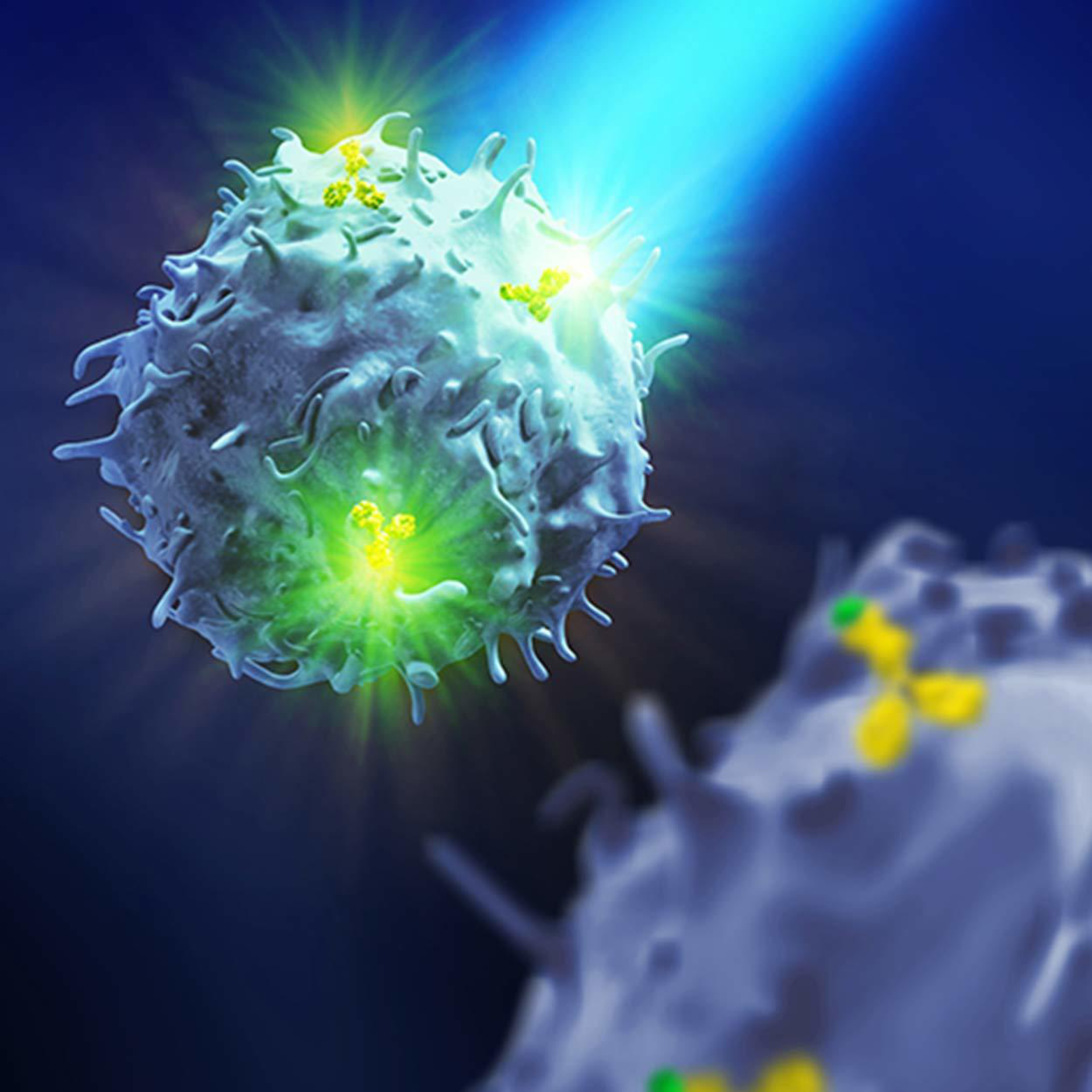 Antibodies | Products | Miltenyi Biotec | USA